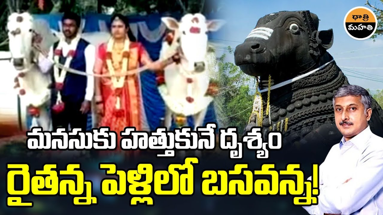 Reason Behind Cow At House Warming Ceremony - idhatri